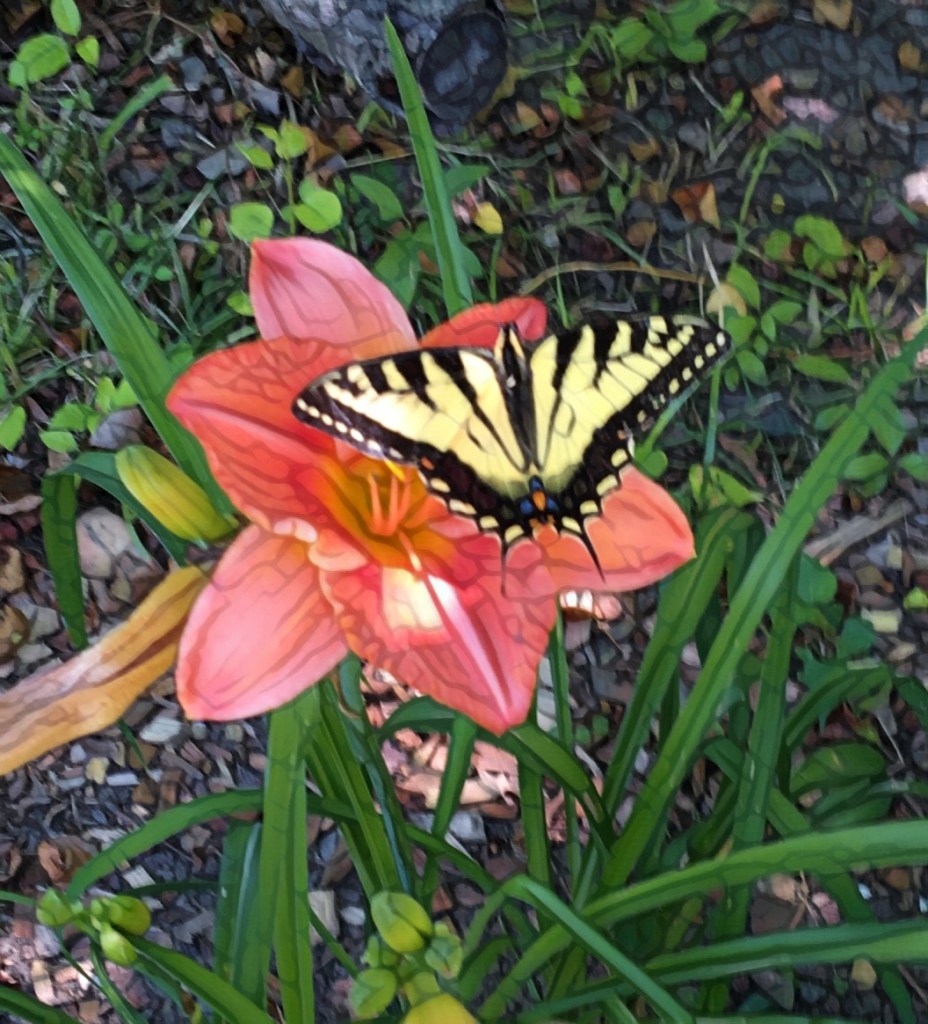 Pollinator Corridor | The Mascoma River Greenway