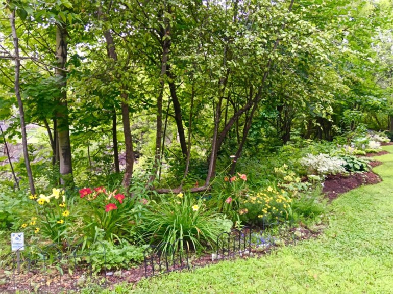 Pollinator Corridor | The Mascoma River Greenway