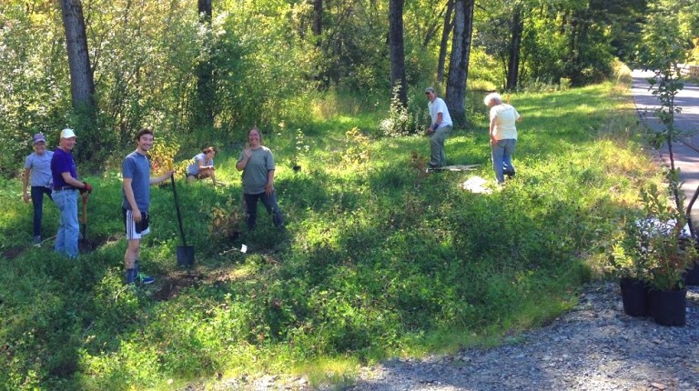 Pollinator Corridor | The Mascoma River Greenway