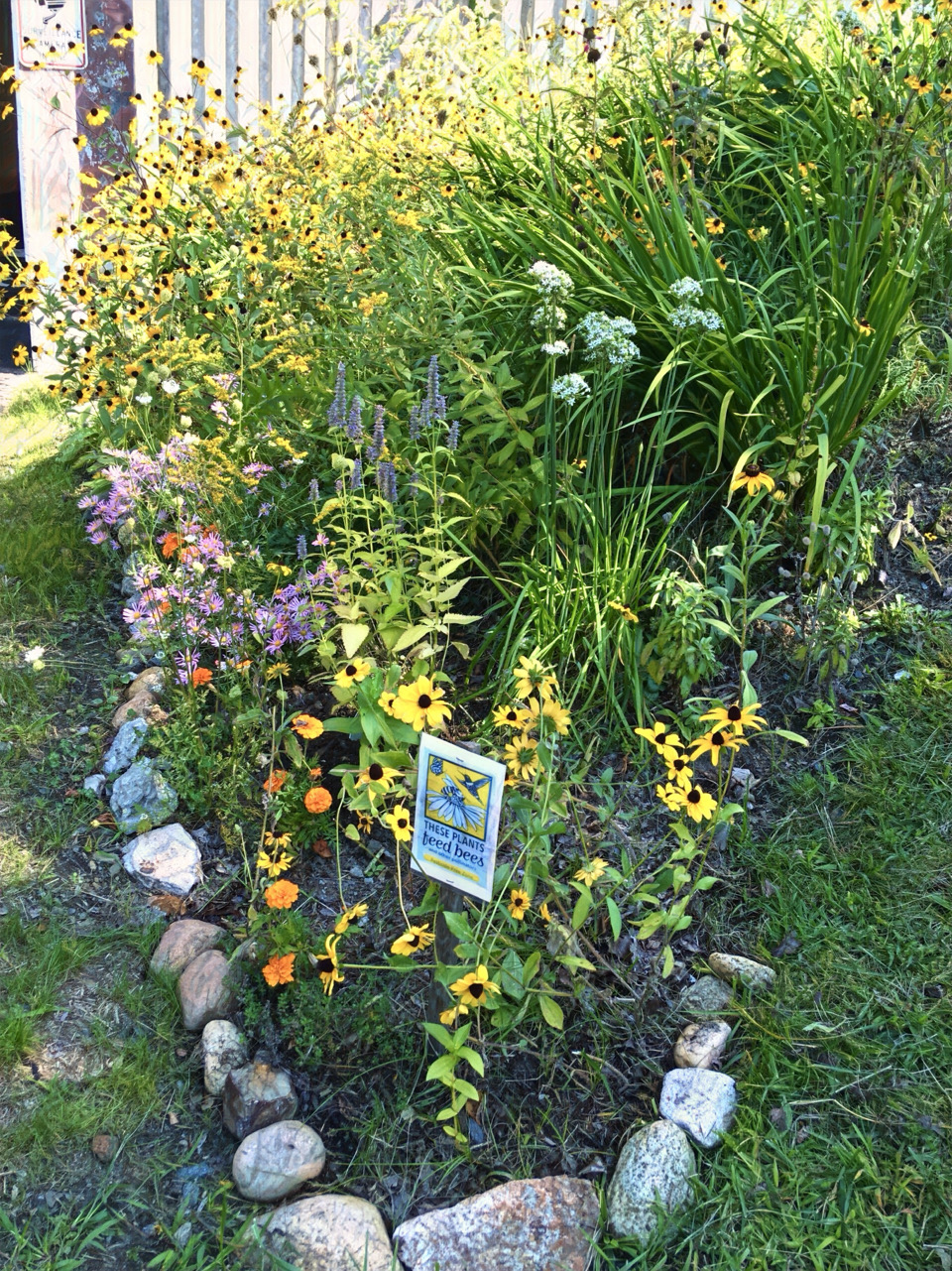 Pollinator Corridor | The Mascoma River Greenway